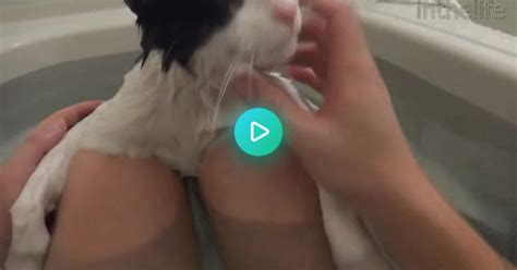 giving human a bath on imgur