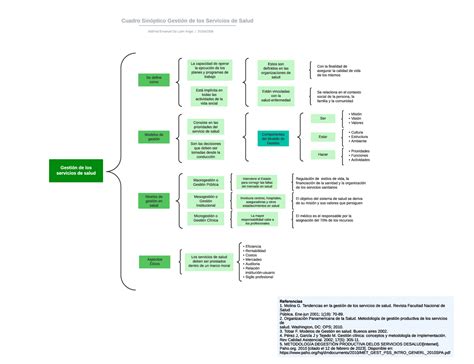 4 Cuadro Sinóptico Individual Gestión De Los Servicios De Salud Con