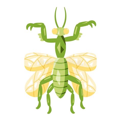 Isolated Colored Cricket Bug Icon With Details Vector Stock Vector