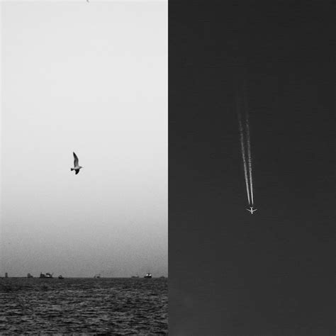 Analogs On Behance