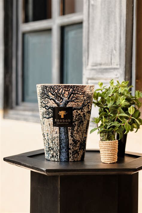 Diffuser Pearls Black Baobab Collection Baobab Collection