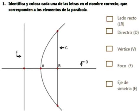 Solved Identifica Y Coloca Cada Una De Las Letras En El Nombre