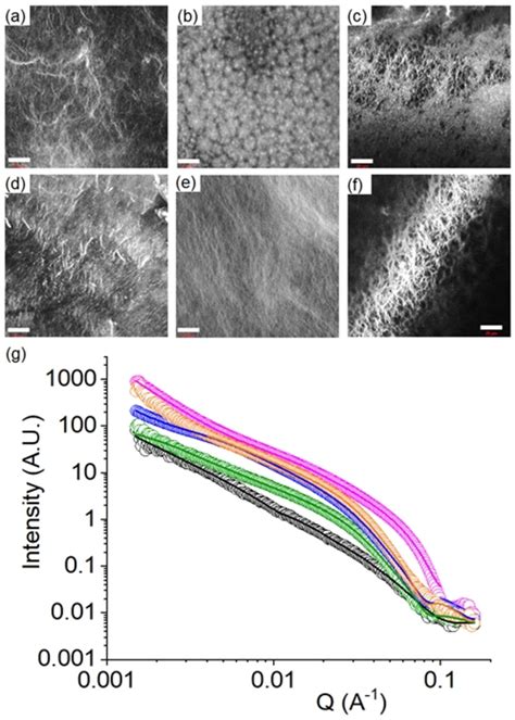 Controlling Self‐sorting Versus Co‐assembly In Supramolecular Gels