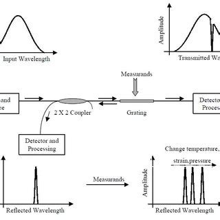 Diagram Of Basic FBG Sensors Download Scientific Diagram