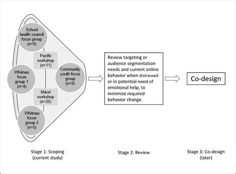 scoping using diverse processes to inform co design download