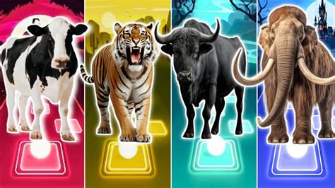 🐄funny Cow 🆚 🐯funny Tiger 🆚 🐃 Funny Buffalo🆚 Funny Mammoth🦣 Coffin