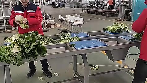 Automatic Vegetable Fruit Processing Line Fruit Vegetable Processing