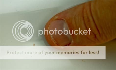 Paint Has What Looks Like Rust Spots On It Chevrolet Malibu Forums