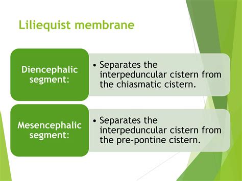 Basal Cisterns Final Ppt