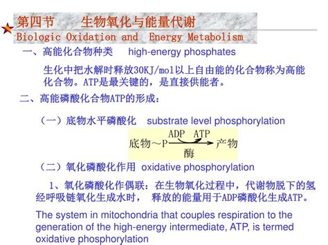 Ppt 第八章 生物氧化 Powerpoint Presentation Free Download Id6418297