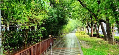木柵公園，翠湖，興得綠色步道，新店瑠公公園，原野公園，馬公友誼運動公園 健行筆記