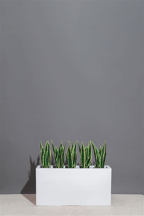 Rectangular Planter Manufacturers Rectangular Pot Suppliers