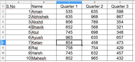 Practical Questions For Electronic Spreadsheet Advanced Class 10