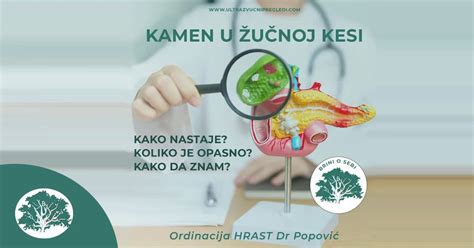 Kamen U žučnoj Kesi Ordinacija Hrast Dr PopoviĆ