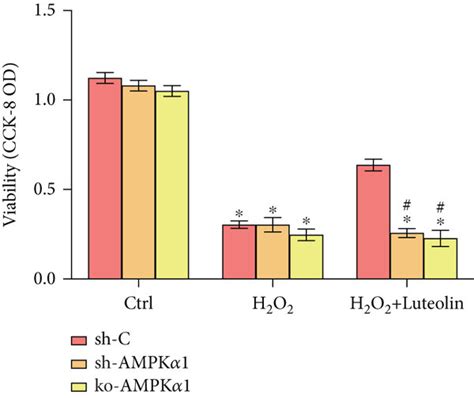 Ampk Activation Mediated Luteolin Induced Cytoprotection Against H2o2