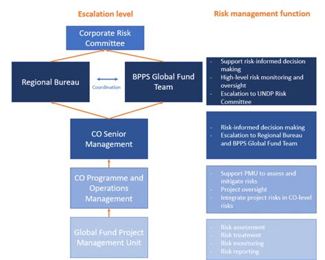 Risk Escalation Process Health Implementation Manual Undp