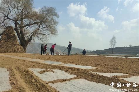 西坪镇：发展壮大村集体经济 为乡村振兴蓄势赋能图 天水在线