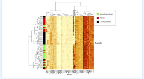Heatmap Of 41 Transcripts Obtained From Causal Mediation Analysis In
