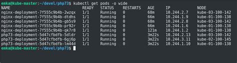 Docker Php Curl