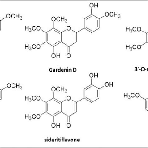A List Of The Identified Compounds From The Dcm Fraction Of O