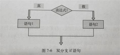 【入门级】c语言 知识点总结（二 之分支和循环语句 单分支结构语句 csdn博客