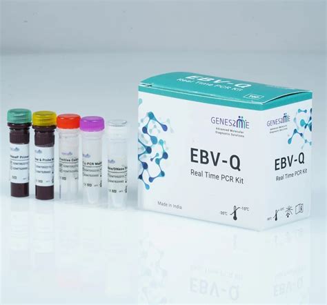Ebv Q Real Time Pcr Kit At ₹ 37500kit Islampur Gurugram Id