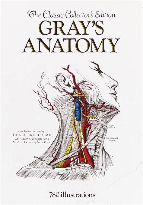 Anatomy Of Human Body Pdf Noblerutracker