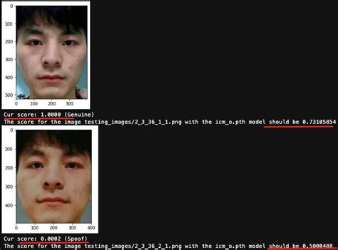 Cannot Reproduce Results Using Pretrained Models And Test Py Script