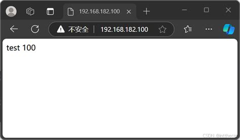 ——配置nginx服务通过ip访问多网站 ip 访问nginx 后的网站 csdn博客