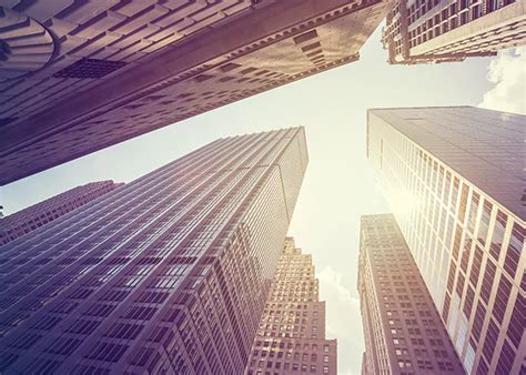 Us Dollar Rises Against Most Majors Myfxbook