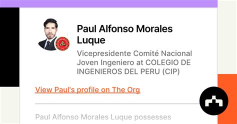 Paul Alfonso Morales Luque Vicepresidente Comité Nacional Joven Ingeniero At Colegio De