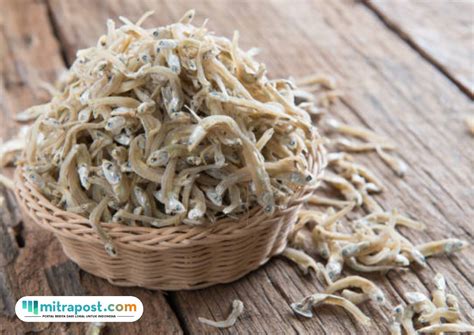 Murah Dan Mudah Didapat Berikut 5 Jenis Ikan Tinggi Protein