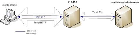IT Freek Zone Tuneles Reverse shell a través de Proxy
