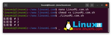 Linux Bash Shell For Linux