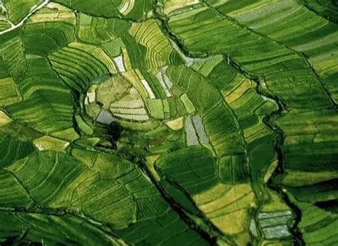 1公顷等于多少平方米等于多少亩,1万平方米15亩土地的面积单位 1公顷等于多少平方米等于多少亩,1万平方米15亩土地的面积单位