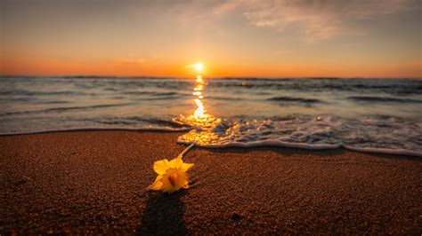 Its The Most Repeated Command In The Bible And It Will Bring You Closer To God Fox News