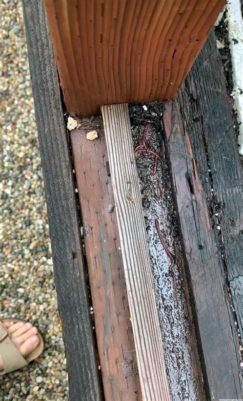 Elizabeth Olsen Nude Sexy Leaks Thefappening 165 Photos The