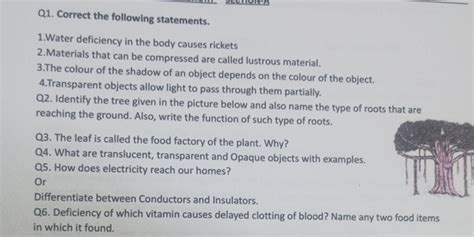 Q1 Correct The Following Statements1water Deficiency In The Body Caus