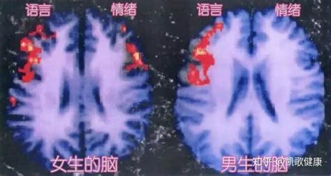 为什么女性比男性更容易生气？ 知乎