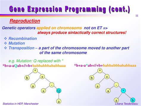 Ppt With Gene Expression Programming Powerpoint Presentation Free