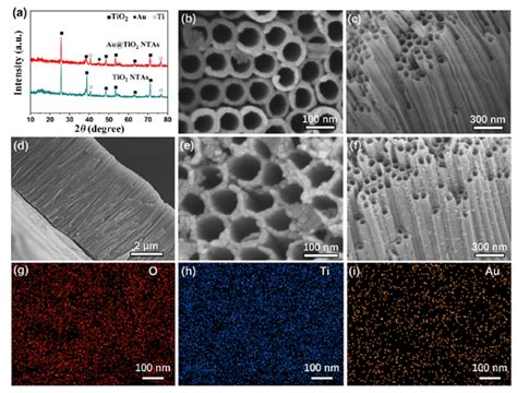 Three Dimensional Flexible Au Nanoparticles Decorated Tio2 Nanotube Arrays For