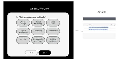 Webflow Checkbox Form Data To Display Text In Multiselect Airtable
