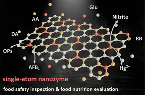 Perspectives For The Role Of Single Atom Nanozymes In Assisting Food Safety Inspection And Food