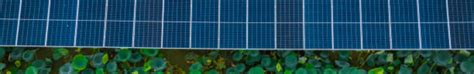 Leadvent Group Floating Solar For Agricultural Sustainability