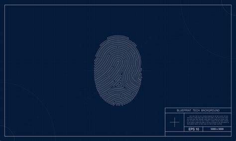 561 Blueprint Detection 免版税图片、库存照片和图像 Shutterstock