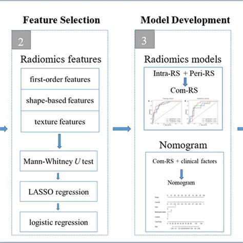 Radiomics Workflow In Our Study Download Scientific Diagram