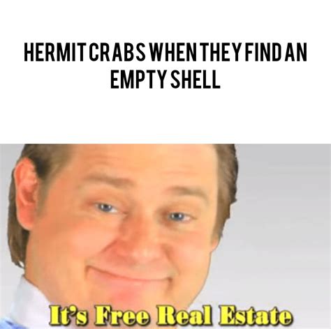 The Best Shell Memes Memedroid