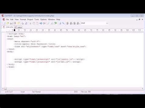 Jquery Tutorial Show Hide Password In Field Youtube