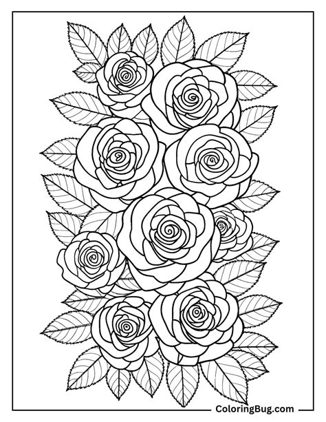 Detailed Roses With Leaves Coloring Sheet By Coloringbugsite On Deviantart
