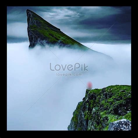 플라워 월 트리 내츄럴 사진 무료 다운로드 Lovepik
